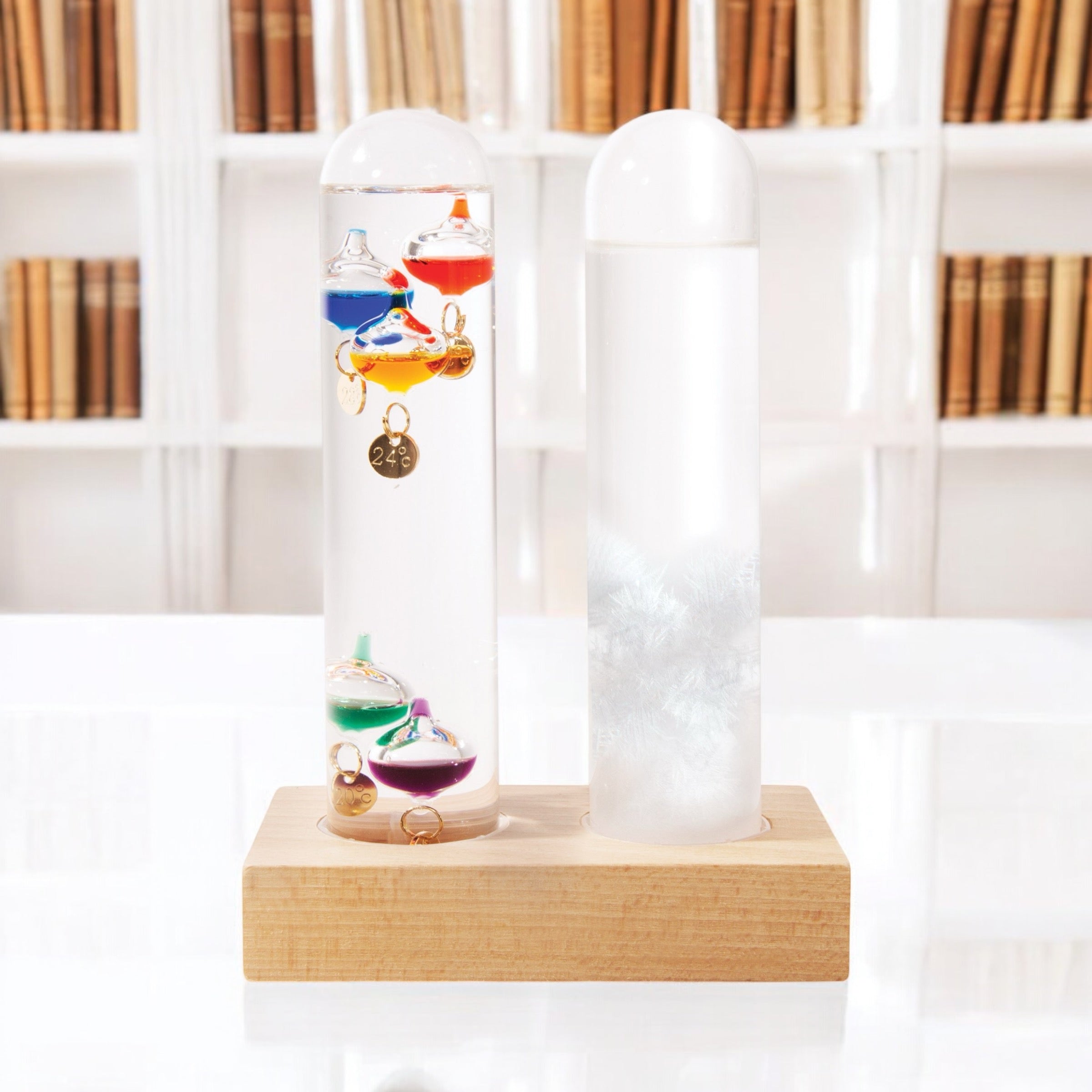 Dual Weather Station – IQM Store