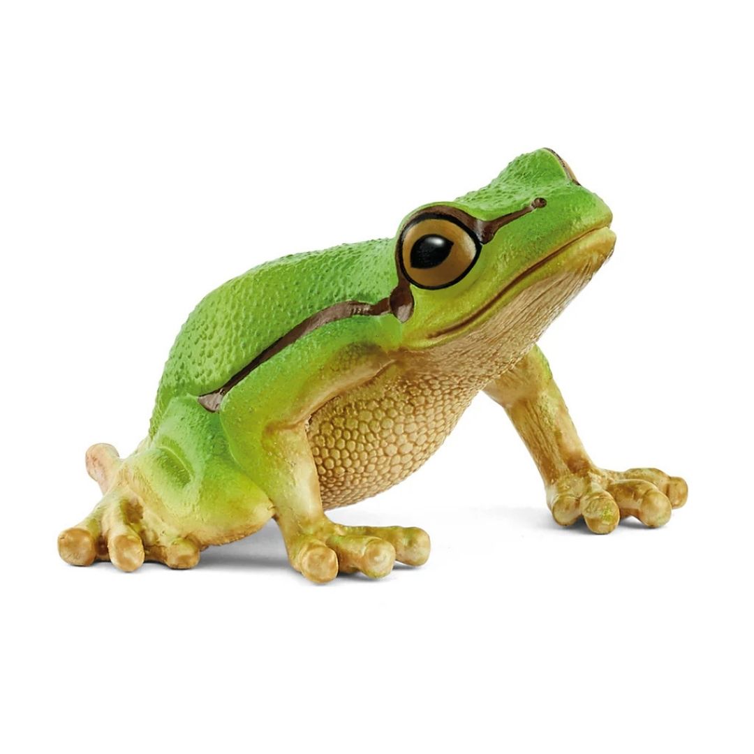 Schleich European Tree Frog – IQM Store